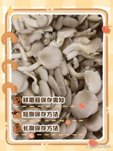 鲜蘑菇怎样存放时间更长些_蘑菇放冰箱能保存多久-第2张图片-山城妙识