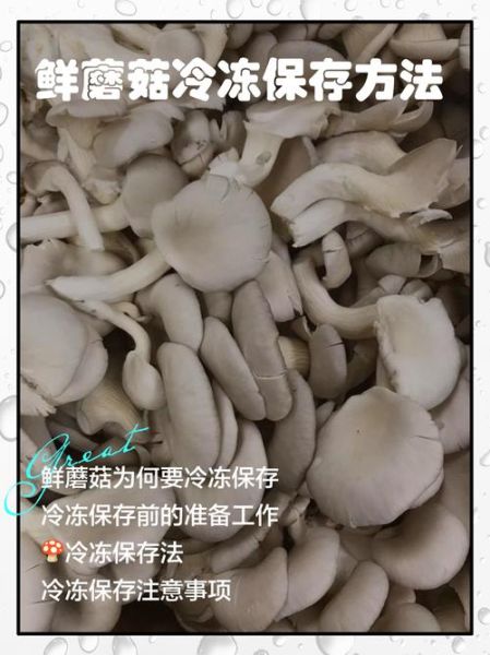 鲜蘑菇怎样存放时间更长些_蘑菇放冰箱能保存多久-第1张图片-山城妙识