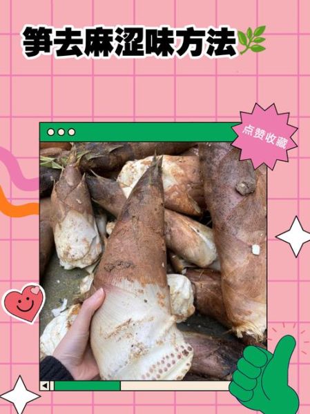 毛竹笋怎么去苦味_毛竹笋去涩味最快方法-第1张图片-山城妙识