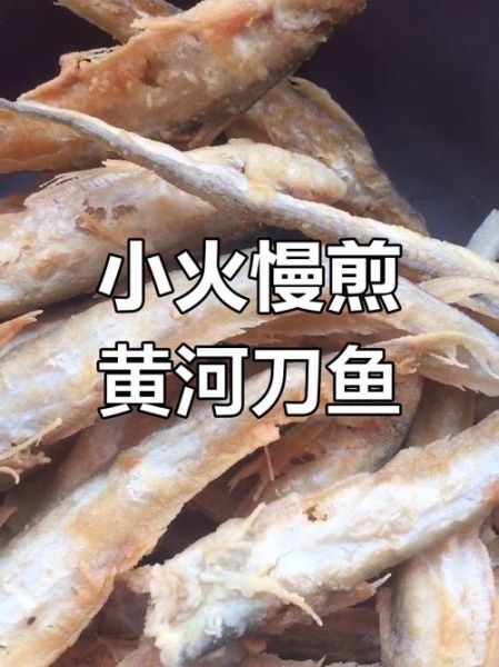 黄河刀鱼怎么做好吃_黄河刀鱼清蒸还是红烧-第1张图片-山城妙识 黄河刀鱼怎么做好吃_黄河刀鱼清蒸还是红烧-第1张图片-山城妙识
