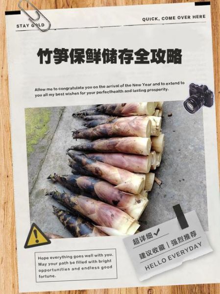 竹笋怎么保存时间最长_竹笋长期保鲜方法-第2张图片-山城妙识