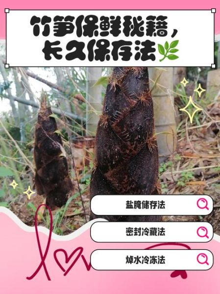 竹笋怎么保存时间最长_竹笋长期保鲜方法-第1张图片-山城妙识
