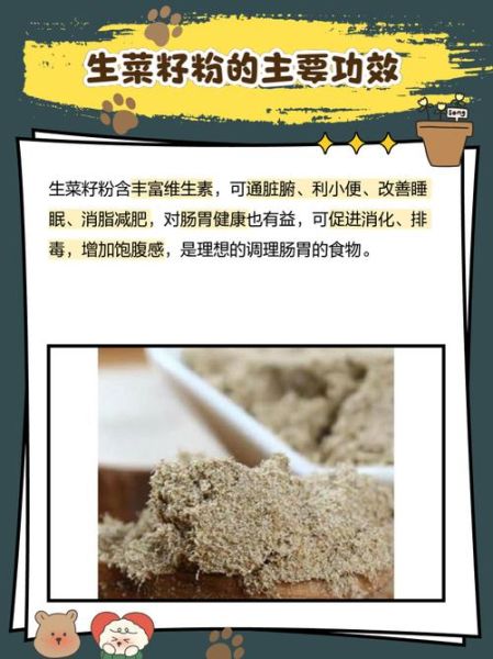 生粉的作用与用途_生粉可以做什么菜-第1张图片-山城妙识