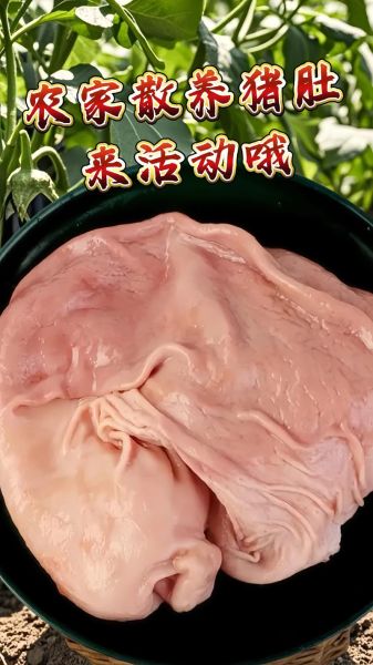 生粉的作用与用途_生粉可以做什么菜-第3张图片-山城妙识