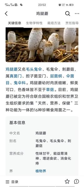 鸡腿蘑怎么做好吃_鸡腿蘑的营养价值-第1张图片-山城妙识