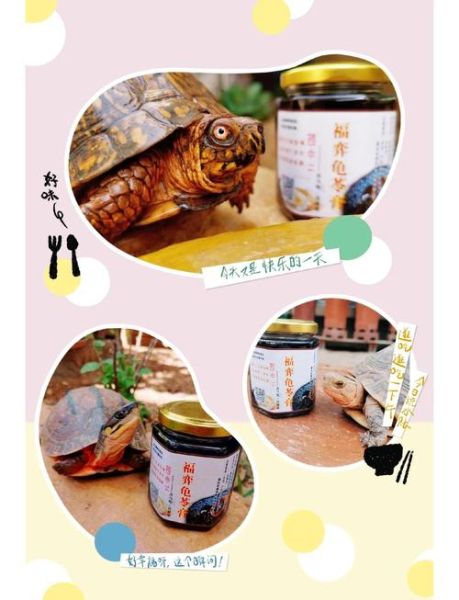 女人吃龟苓膏的好处_龟苓膏能调理月经吗-第2张图片-山城妙识 女人吃龟苓膏的好处_龟苓膏能调理月经吗-第2张图片-山城妙识