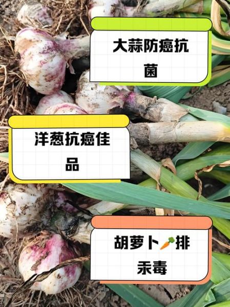 食物中毒吃什么解毒最快_食物中毒后吃什么好得快-第1张图片-山城妙识 食物中毒吃什么解毒最快_食物中毒后吃什么好得快-第1张图片-山城妙识