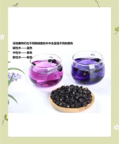 黑果枸杞的功效与作用_黑果枸杞的正确吃法-第3张图片-山城妙识