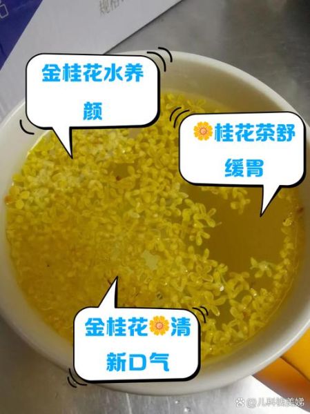 桂花泡酒的功效与作用_桂花泡酒怎么泡才香-第1张图片-山城妙识