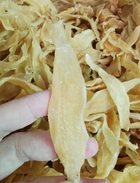 鮸鱼鱼胶的功效与作用_鮸鱼鱼胶怎么泡发-第1张图片-山城妙识 鮸鱼鱼胶的功效与作用_鮸鱼鱼胶怎么泡发-第1张图片-山城妙识