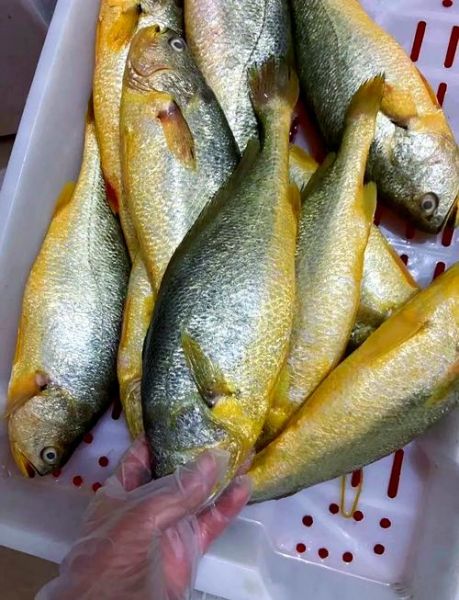 黄花鱼多少钱一斤_黄花鱼价格行情-第2张图片-山城妙识
