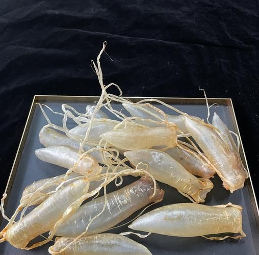 鮸鱼鱼胶的功效与作用_鮸鱼鱼胶怎么泡发-第3张图片-山城妙识 鮸鱼鱼胶的功效与作用_鮸鱼鱼胶怎么泡发-第3张图片-山城妙识