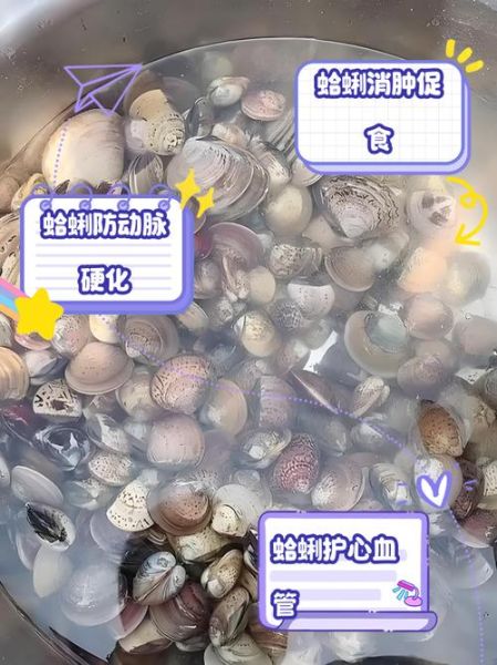 蛤蜊种类有哪些_蛤蜊怎么区分-第2张图片-山城妙识 蛤蜊种类有哪些_蛤蜊怎么区分-第2张图片-山城妙识