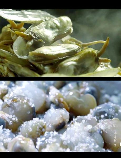 小海鲜纪录片哪里看_小海鲜纪录片讲了什么-第3张图片-山城妙识