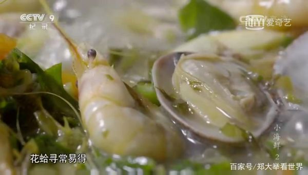 小海鲜纪录片哪里看_小海鲜纪录片讲了什么-第1张图片-山城妙识