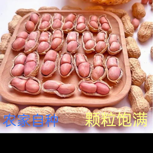 花生价格预测_2024年行情会涨吗-第3张图片-山城妙识