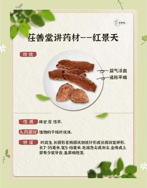 红景天功效与作用_红景天怎么吃效果最好-第1张图片-山城妙识