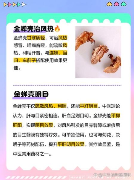 男人吃金蝉有什么好处_金蝉对男性健康的作用-第2张图片-山城妙识 男人吃金蝉有什么好处_金蝉对男性健康的作用-第2张图片-山城妙识
