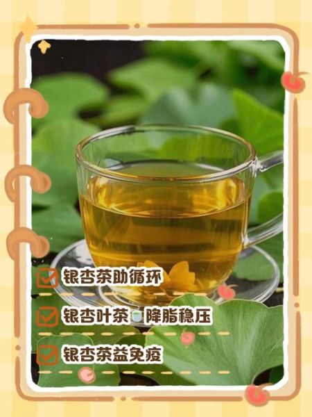 银杏茶的功效与作用_银杏茶能长期喝吗-第1张图片-山城妙识