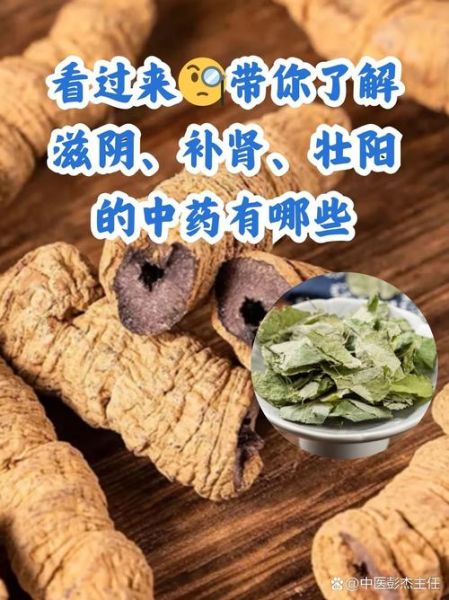 补肾的中药有哪些_肾虚吃什么中药好-第3张图片-山城妙识 补肾的中药有哪些_肾虚吃什么中药好-第3张图片-山城妙识