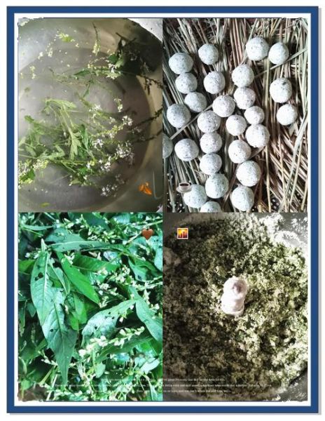 酒曲是什么做成的_酒曲原料有哪些-第1张图片-山城妙识