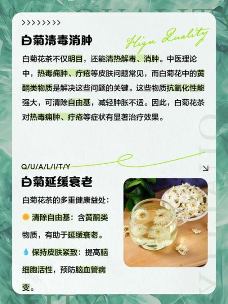 白菊花茶的功效与作用_白菊花茶的禁忌有哪些-第2张图片-山城妙识