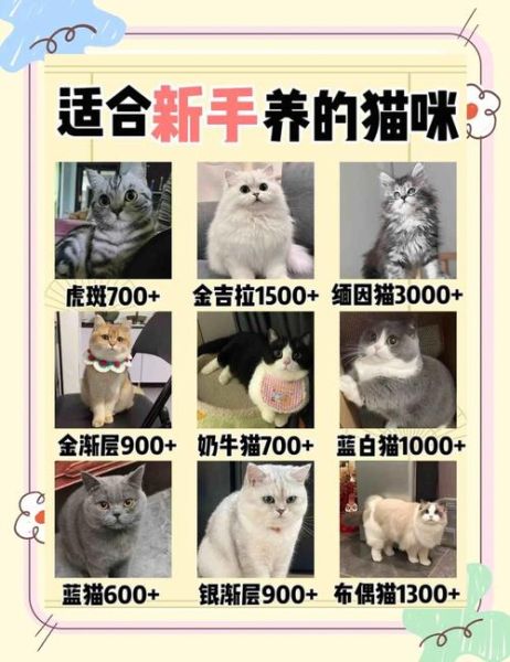 懒人养殖项目有哪些_懒人养殖赚钱吗-第2张图片-山城妙识