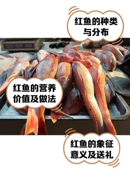 淡水红鱼是什么鱼_淡水红鱼产地在哪里-第1张图片-山城妙识