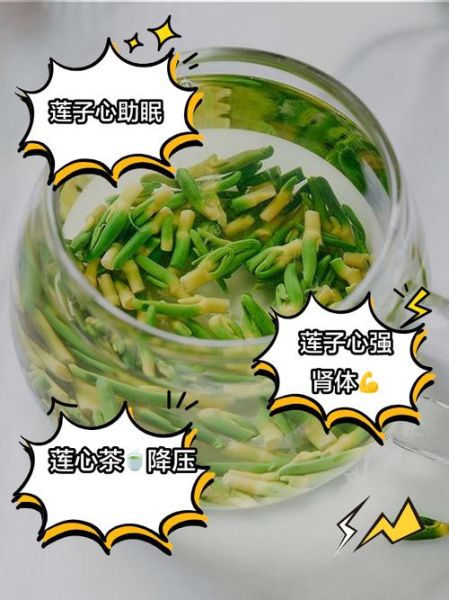 莲子心泡水喝的功效与作用_莲子心能长期喝吗-第3张图片-山城妙识