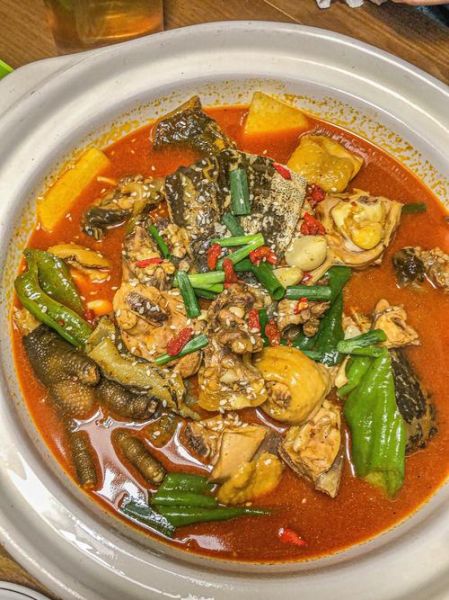 红烧甲鱼炖鸡的做法_红烧甲鱼炖鸡的家常窍门-第2张图片-山城妙识