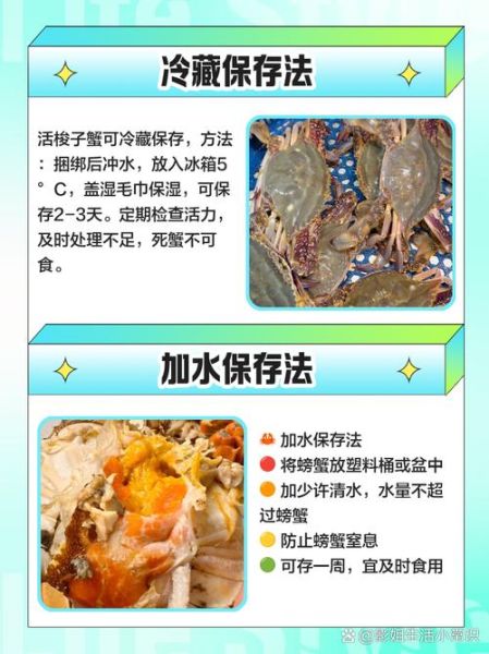 活的梭子蟹放冷藏死了能吃吗_冷藏梭子蟹死亡后多久变质-第1张图片-山城妙识 活的梭子蟹放冷藏死了能吃吗_冷藏梭子蟹死亡后多久变质-第1张图片-山城妙识