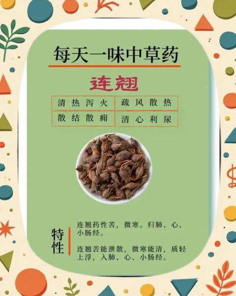 连翘的功效与作用_连翘能治哪些病-第1张图片-山城妙识