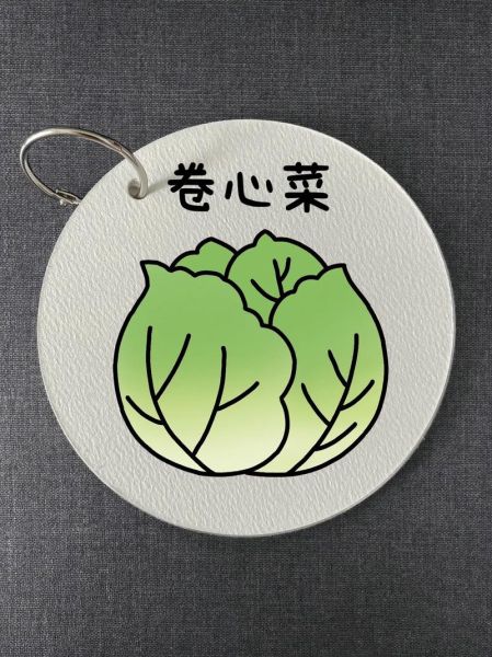 卷心菜简笔画怎么画_卷心菜图片简笔画教程-第1张图片-山城妙识 卷心菜简笔画怎么画_卷心菜图片简笔画教程-第1张图片-山城妙识