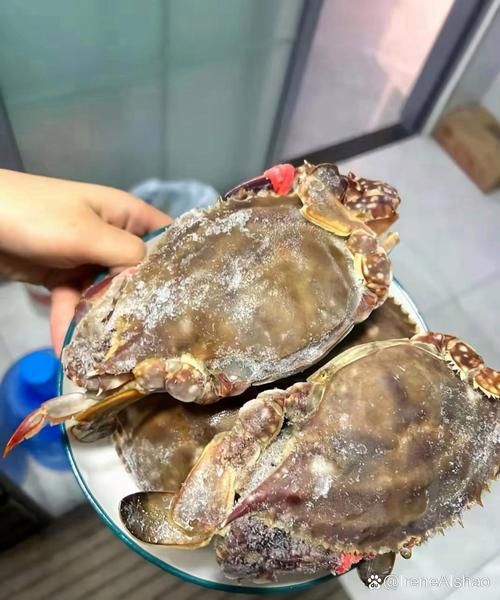 活的梭子蟹放冷藏死了能吃吗_冷藏梭子蟹死亡后多久变质-第3张图片-山城妙识 活的梭子蟹放冷藏死了能吃吗_冷藏梭子蟹死亡后多久变质-第3张图片-山城妙识