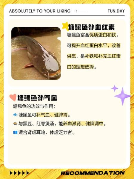 塘鲺鱼怎么做好吃_塘鲺鱼的功效与作用-第1张图片-山城妙识 塘鲺鱼怎么做好吃_塘鲺鱼的功效与作用-第1张图片-山城妙识