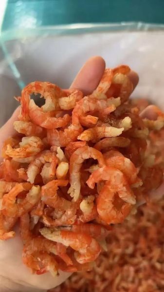 干虾仁的营养价值_干虾仁的功效与作用-第1张图片-山城妙识