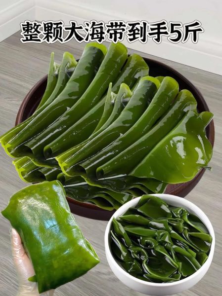 海带图片大全大图高清_海带高清大图怎么拍-第2张图片-山城妙识