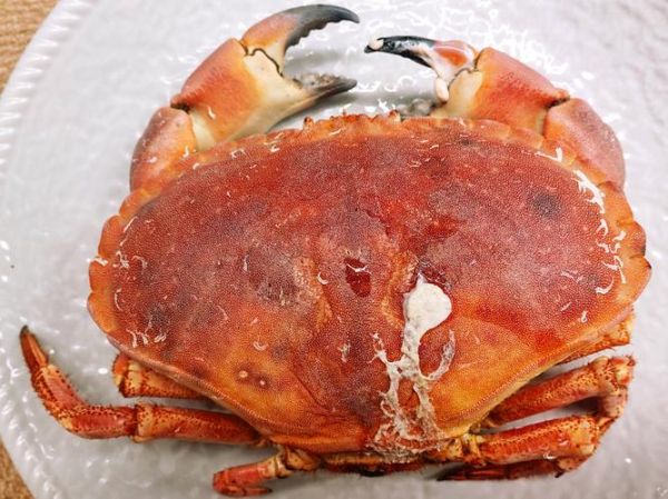 面包蟹怎么蒸_面包蟹怎么做好吃-第3张图片-山城妙识 面包蟹怎么蒸_面包蟹怎么做好吃-第3张图片-山城妙识