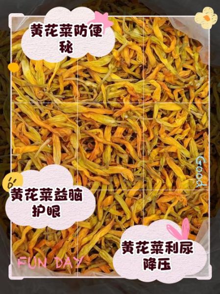 鲜黄花菜的功效与作用_鲜黄花菜怎么吃才安全-第1张图片-山城妙识