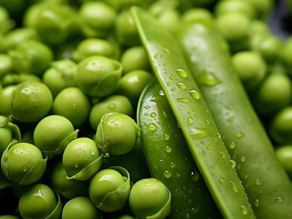 豌豆荚安卓版下载安全吗_豌豆荚安卓版怎么下载-第3张图片-山城妙识