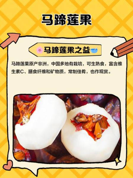 马蹄果怎么吃最好吃_马蹄果的做法大全-第1张图片-山城妙识