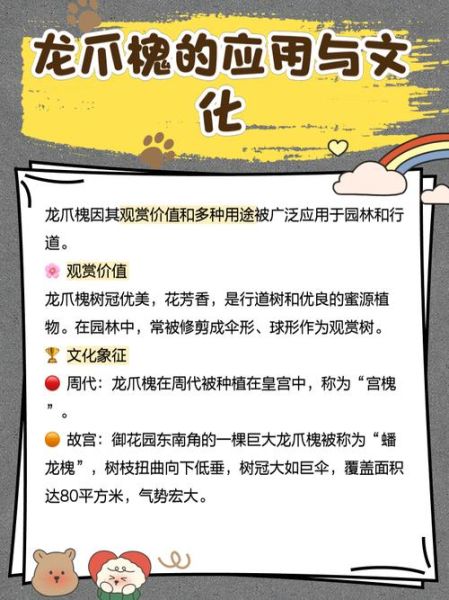 龙爪槐怎么修剪_龙爪槐适合种在哪里-第1张图片-山城妙识