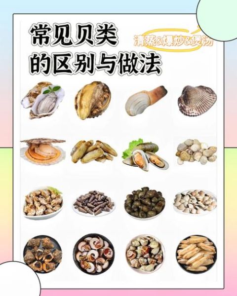 海鲜贝类有哪些_如何挑选新鲜贝类-第2张图片-山城妙识