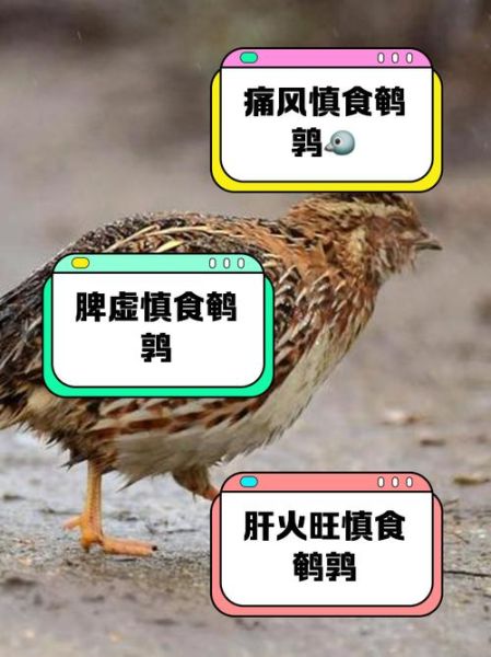 鹌鹑蛋什么人不适合吃_鹌鹑蛋禁忌人群有哪些-第2张图片-山城妙识 鹌鹑蛋什么人不适合吃_鹌鹑蛋禁忌人群有哪些-第2张图片-山城妙识