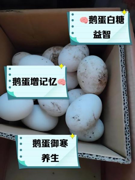 鹅蛋提高记忆力偏方_鹅蛋怎么吃最补脑-第3张图片-山城妙识 鹅蛋提高记忆力偏方_鹅蛋怎么吃最补脑-第3张图片-山城妙识