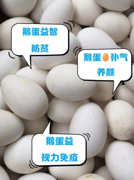 鹅蛋提高记忆力偏方_鹅蛋怎么吃最补脑-第2张图片-山城妙识 鹅蛋提高记忆力偏方_鹅蛋怎么吃最补脑-第2张图片-山城妙识