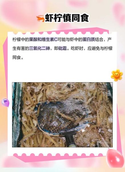 虾和什么相克_虾不能和什么一起吃-第3张图片-山城妙识 虾和什么相克_虾不能和什么一起吃-第3张图片-山城妙识