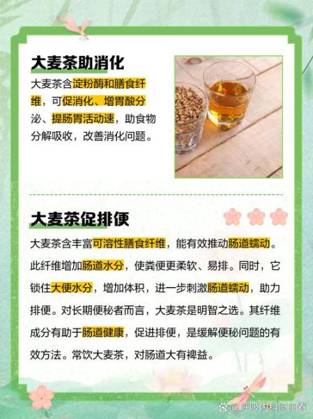 大麦茶可以长期喝吗_大麦茶每天喝多少合适-第1张图片-山城妙识