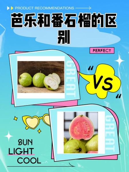 番石榴和芭乐的区别_番石榴和芭乐是同一种水果吗-第1张图片-山城妙识