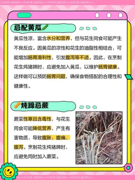 花生红枣猪蹄汤的禁忌_哪些人不能吃-第3张图片-山城妙识